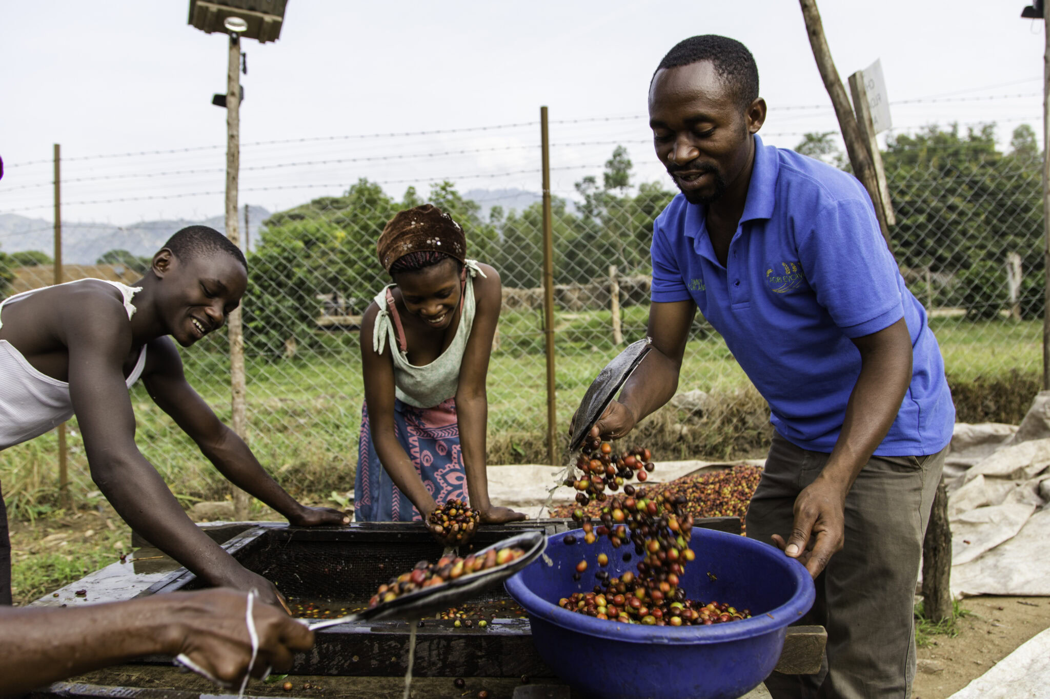 Discover Coffee Insights with Doe and Fawn